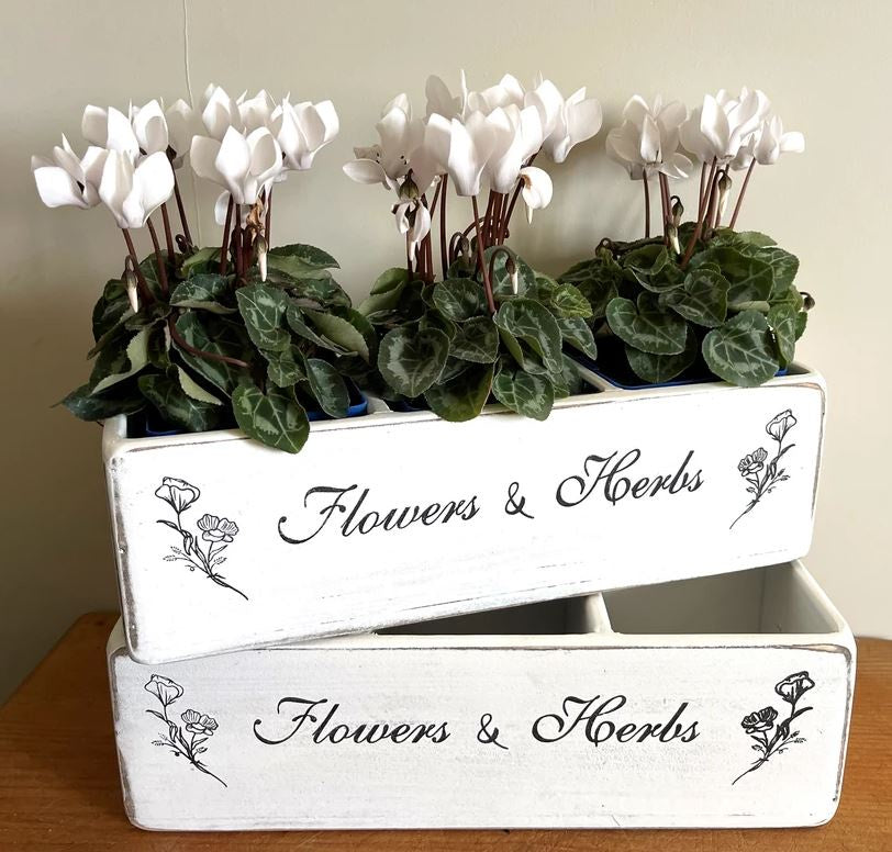 White Planter Box – The Junction Cardrona